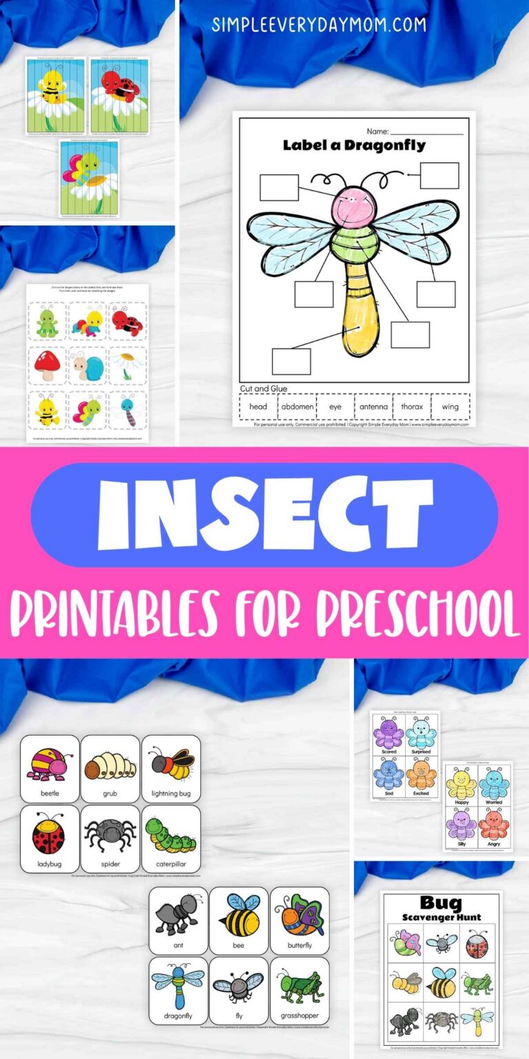 Printable Preschool Bug Activities For Kids