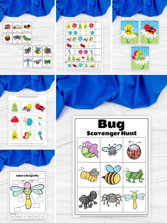 Arctic Animals Preschool Printables