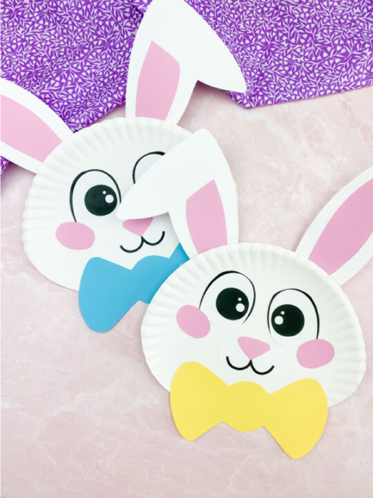 25 Adorable Easter Paper Plate Craft Ideas Kids Will Love