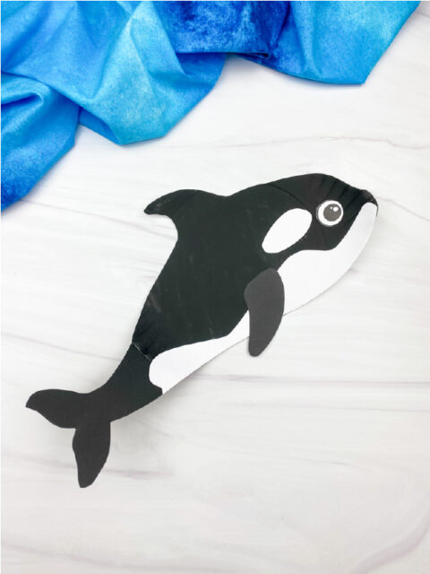 Paper Plate Killer Whale Craft [Free Template]