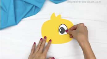 Bird Paper Bag Puppet Craft For Kids [Free Template]