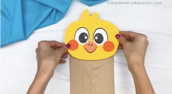 Bird Paper Bag Puppet Craft For Kids [Free Template]