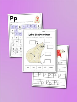 21 Fantastic Polar Bear Activities For Preschoolers