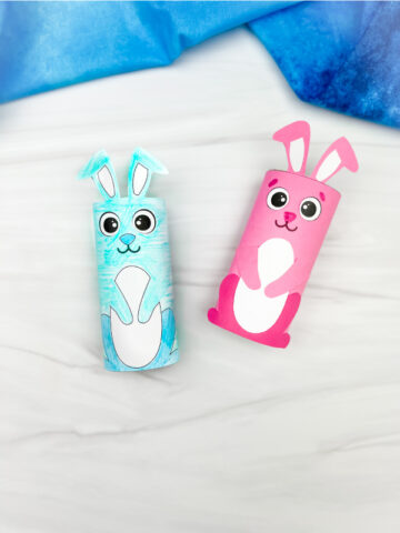 30 Colorful Spring Toilet Paper Roll Crafts for Kids