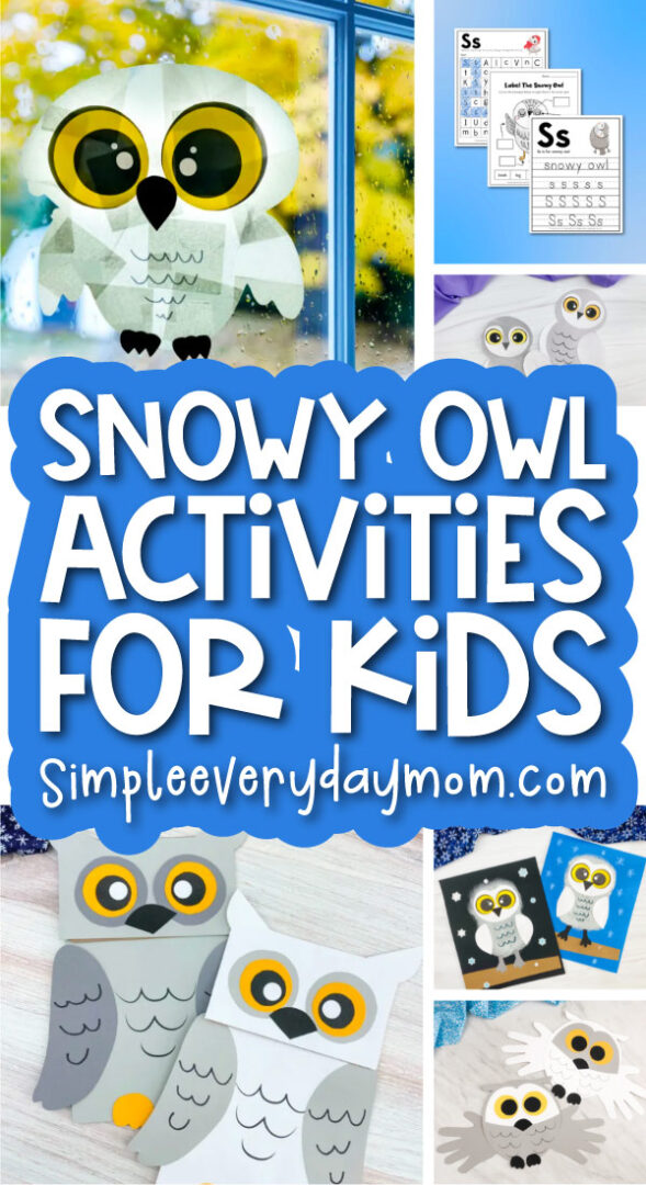 7 Cool Snowy Owl Activities For Kids