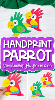 Handprint Parrot Craft For Kids [Free Template]