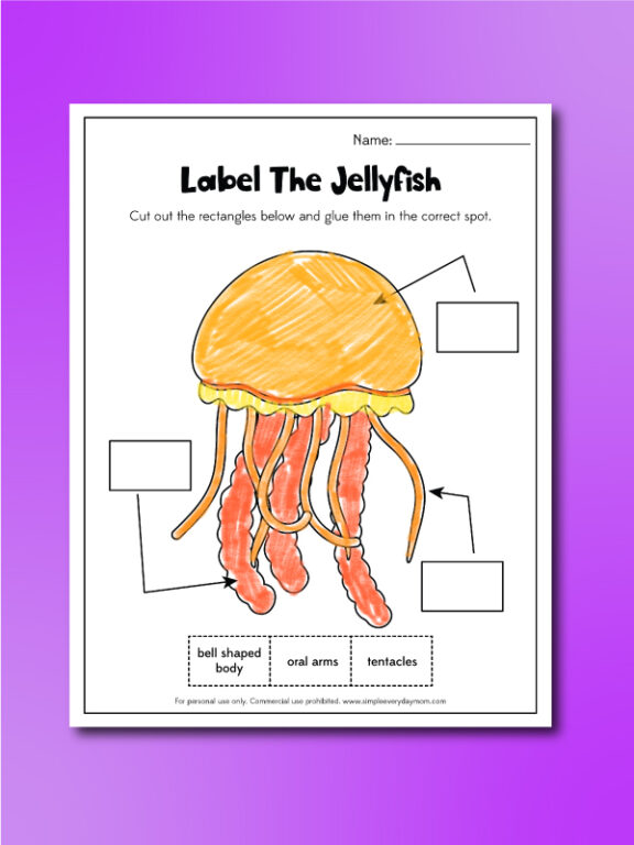 Jellyfish Worksheets For Kids [Freebie]