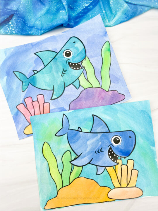 13 Playful Shark Art for Kids to Explore Ocean Creatures