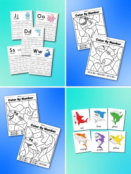Shark Suncatcher Craft For Kids [Free Template]
