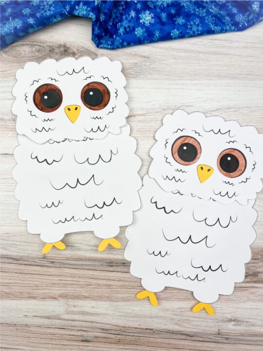 14 Creative Snowy Owl Crafts For Kids