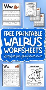 Walrus Worksheets For Kids [Free Printable]