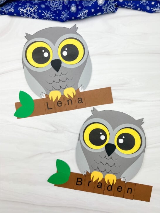 29 Adorable Owl Crafts For Kids