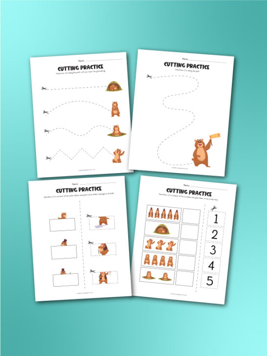15 Fun Groundhog Day Classroom Activities for 2025
