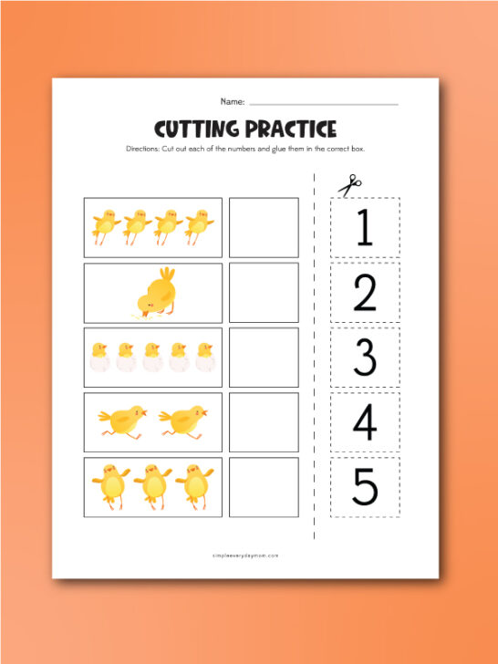 Chick Cutting Practice Worksheets For Kids [Free Template]