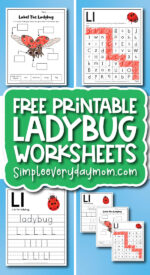 Ladybug Worksheets For Kids [Free Printable]