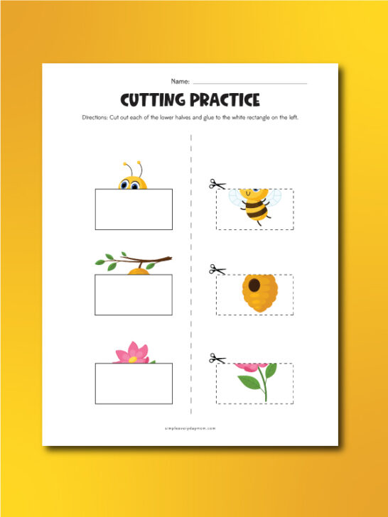 Bee Cutting Practice Worksheets For Kids [Free Printable]