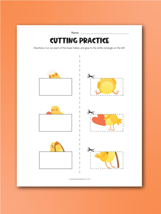 Chick Cutting Practice Worksheets For Kids [Free Template]