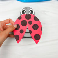 Ladybug Toilet Paper Roll Craft For Kids [Free Template]