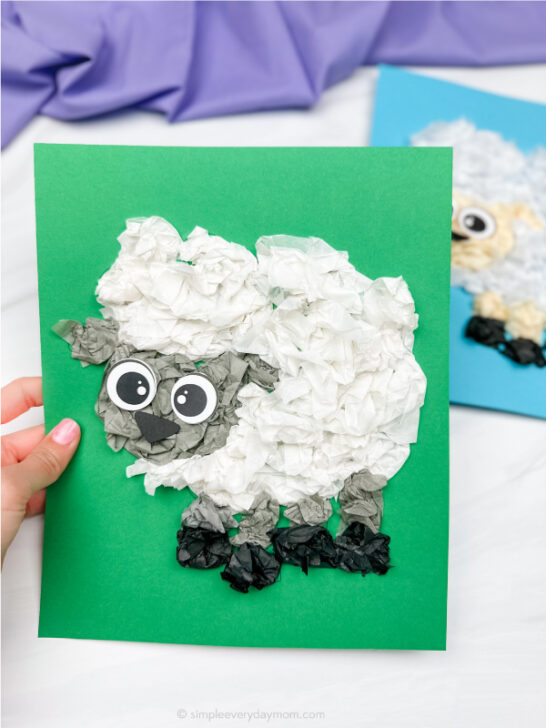 Sheep Tissue Paper Craft For Kids W/Template