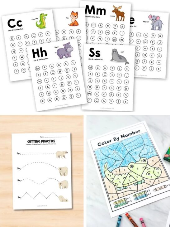 Zoo Animal Worksheets For Preschool
