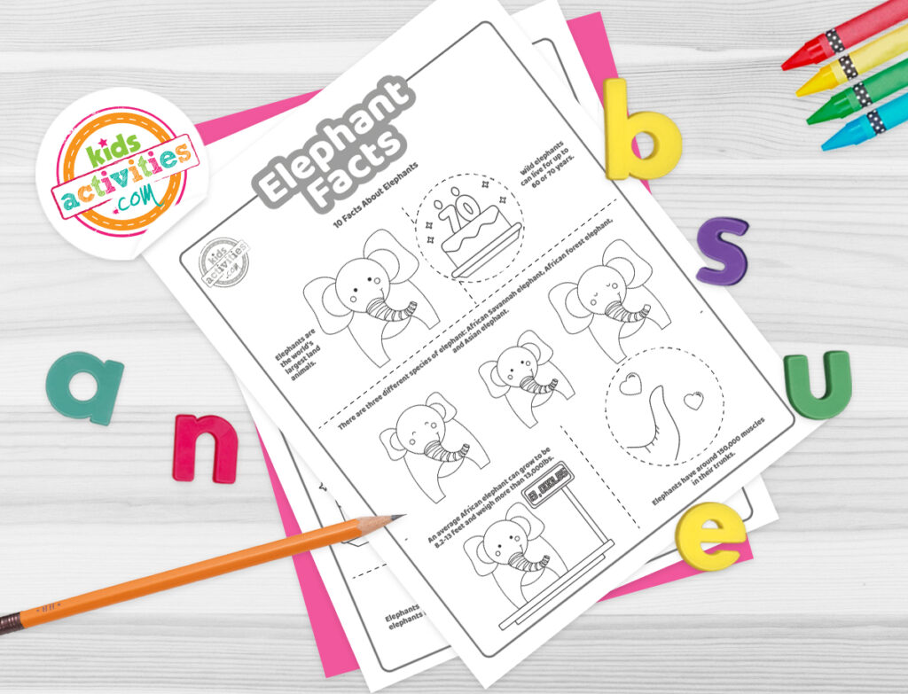 22 Exciting Elephant Day Activities For Kids