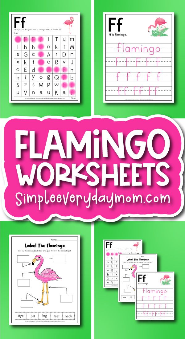 Flamingo Worksheets For Kids [Free Printable]