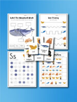 The Snail And The Whale Worksheets For Kids [Free Printable]
