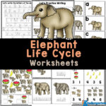 22 Exciting Elephant Day Activities For Kids