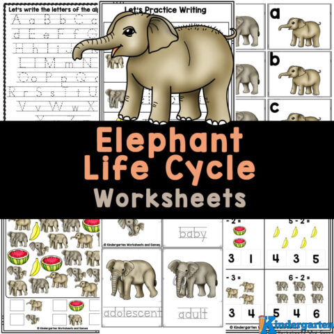 22 Exciting Elephant Day Activities For Kids