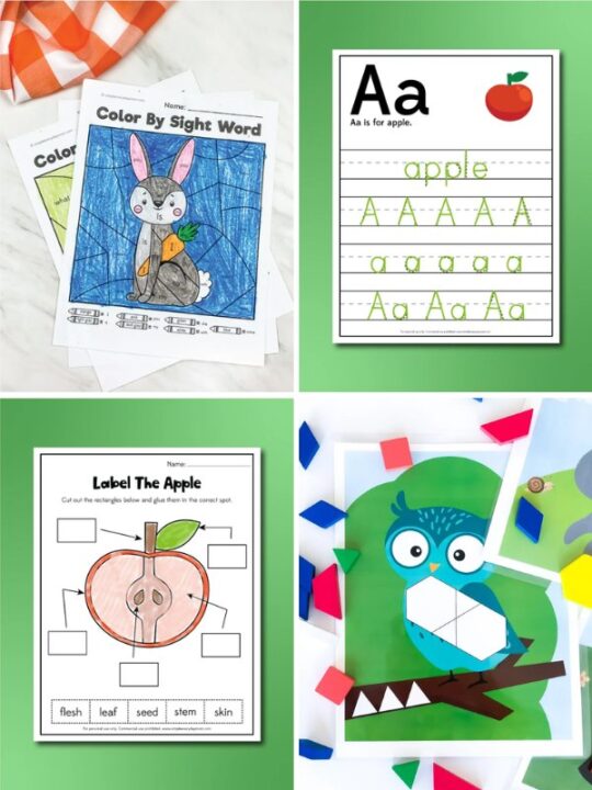Easy Owl Shape Craft For Kids [Free Template]
