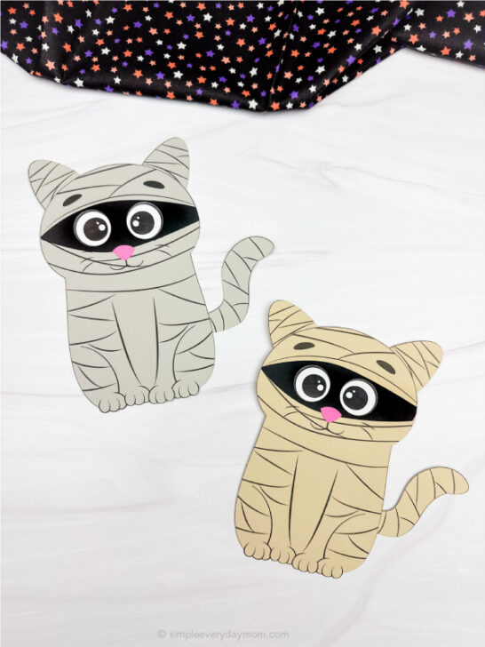 Cat Mummy Craft For Kids [Free Template]