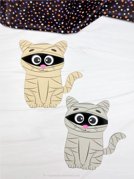 Cat Mummy Craft For Kids [Free Template]