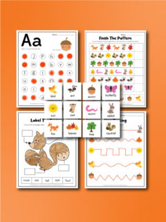 Free Printable Little Acorn Book Activities For Kids