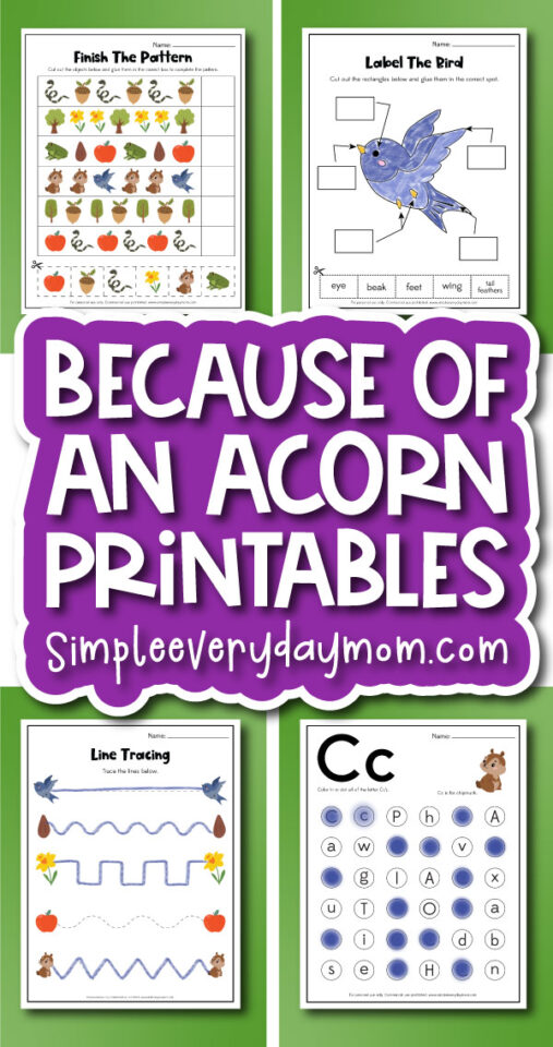 Because Of An Acorn Activities [Freebie]