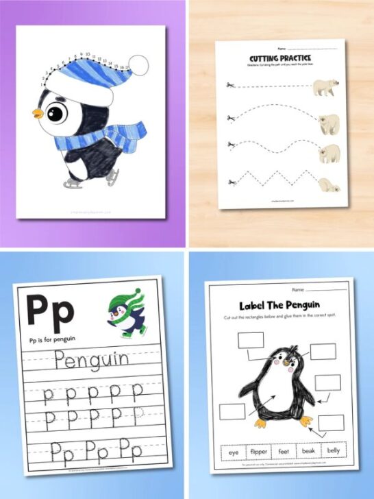 How To Catch A Snowman Craft [Free Template]