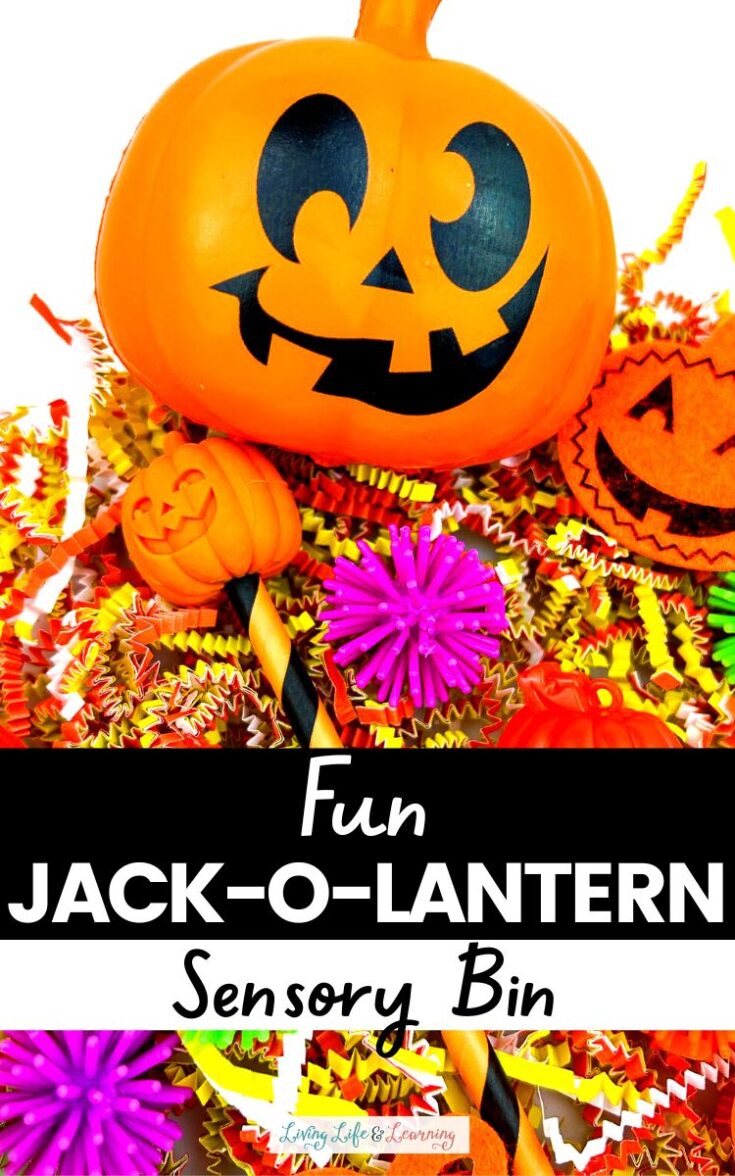 14 Spooky Fun Halloween Sensory Bin Ideas