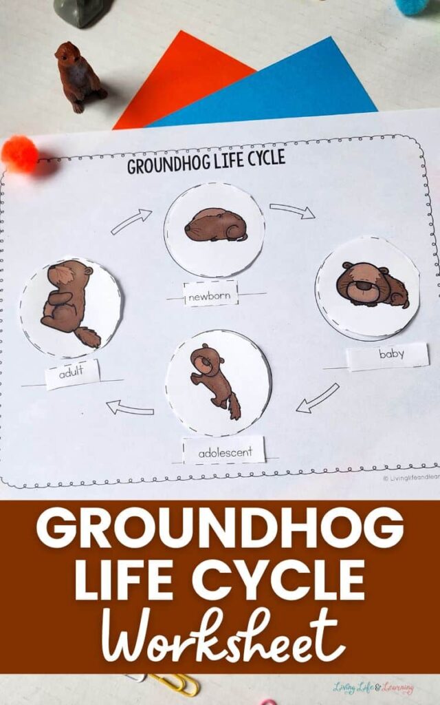 15 Fun Groundhog Day Classroom Activities for 2025