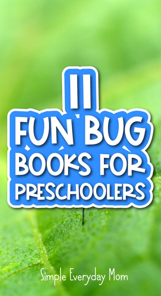 11 Fun Preschool Bug Books That Are Fun To Read