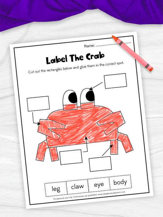 Don't Worry Little Crab Activities For Kids