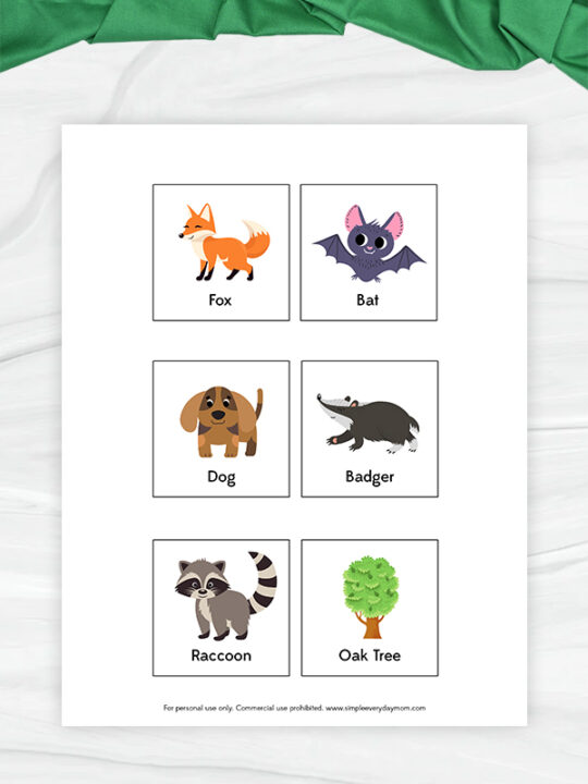 Acorn Was A Little Wild Activities [Free Printables]