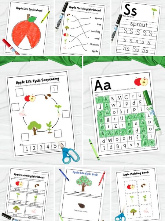 25+ Fall Kindergarten Worksheets to Keep Little Learners Engaged