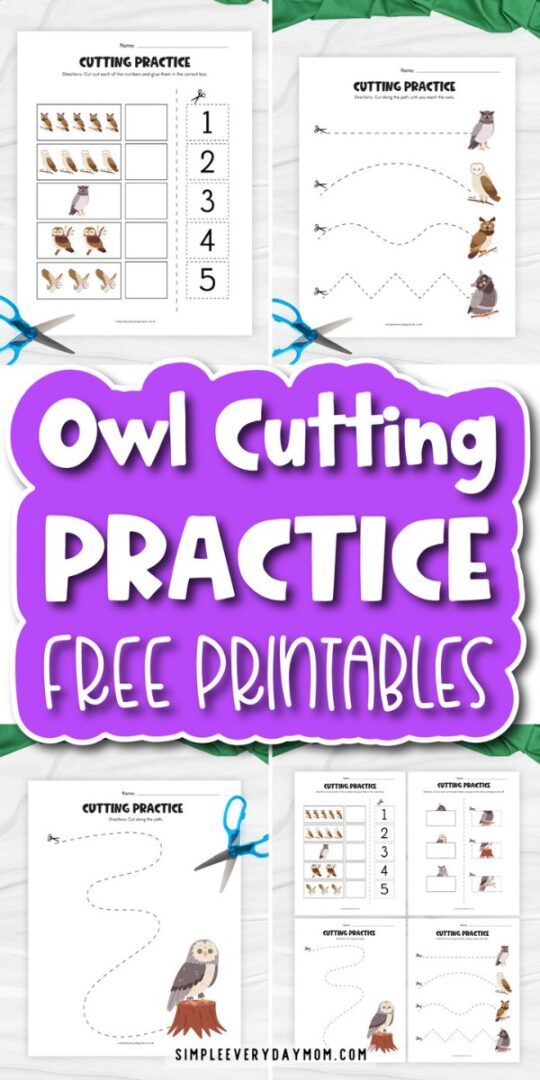 Owl Cutting Practice Worksheets [Free Printables]