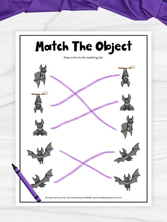 Free Printable Bat Activity Sheets For Preschool