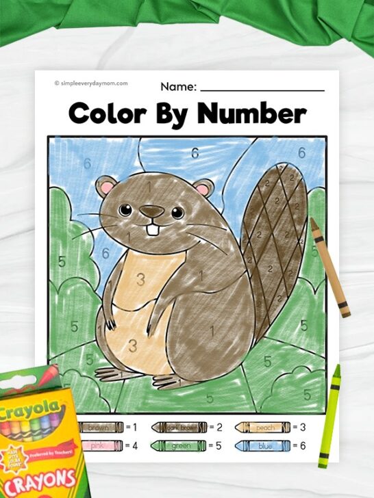 Adorable Forest Animal Color By Numbers For Kids
