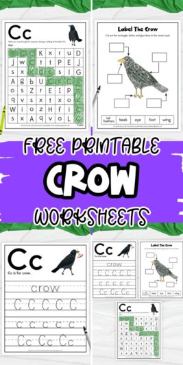 Free Printable Crow Worksheets For Kids