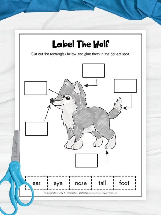 Free Printable Forest Animal Worksheets