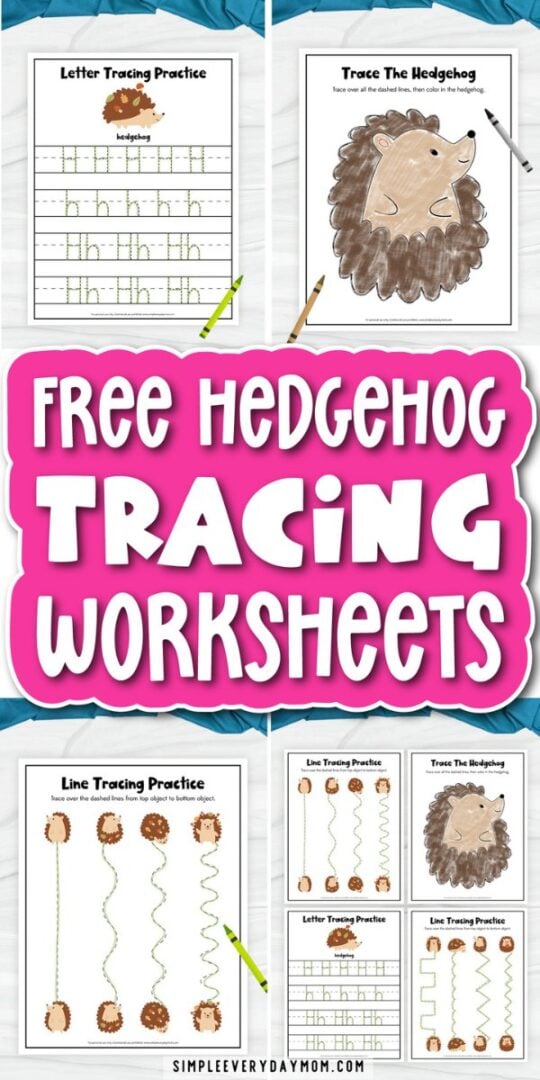Free Printable Hedgehog Tracing Worksheets