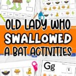There Was An Old Lady Who Swallowed A Bat Activities