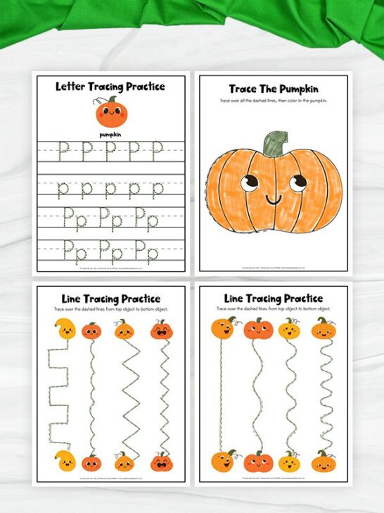 25+ Fall Kindergarten Worksheets to Keep Little Learners Engaged