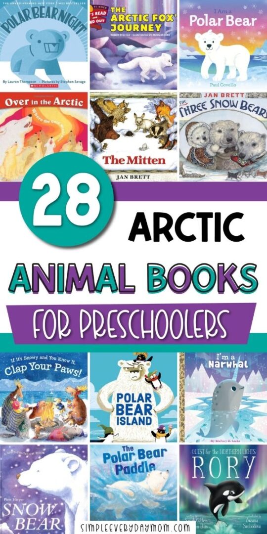28 Arctic Animal Books for Preschoolers